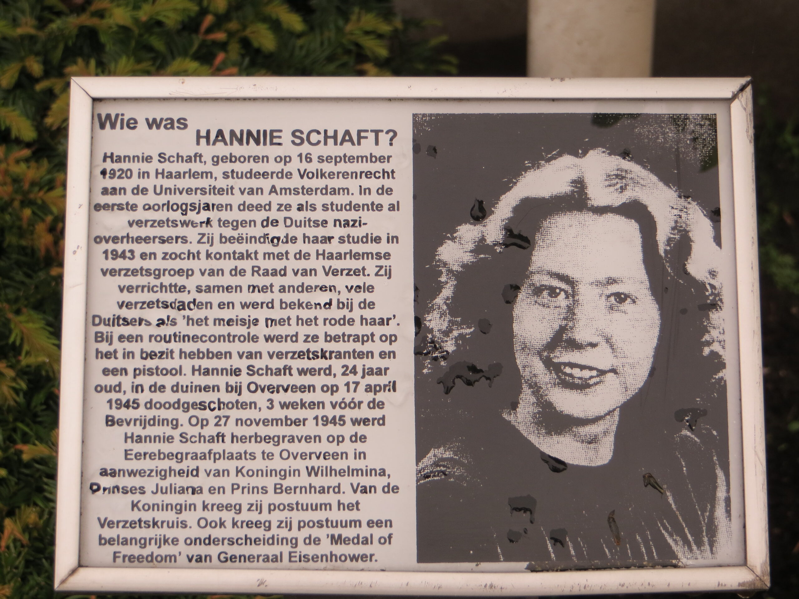 Buzzy Jackson, TO DIE BEAUTIFUL & A Story from Province of the Heart | Writer's Voice