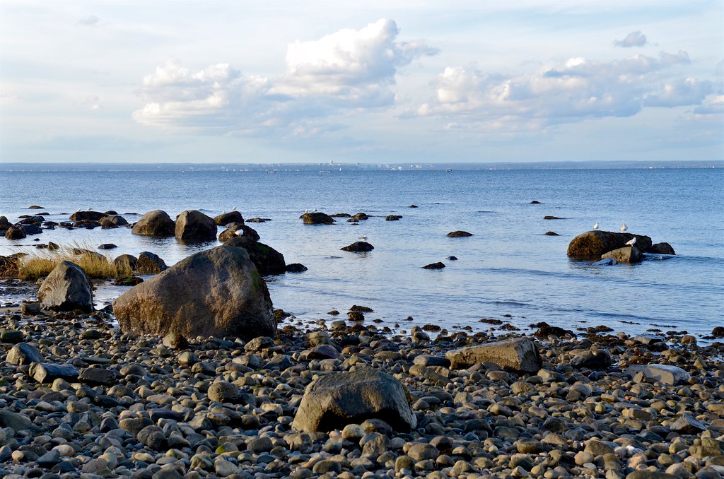 Eiren Caffall THE MOURNER’S BESTIARY & Betsy McCully, AT THE GLACIER’S ...