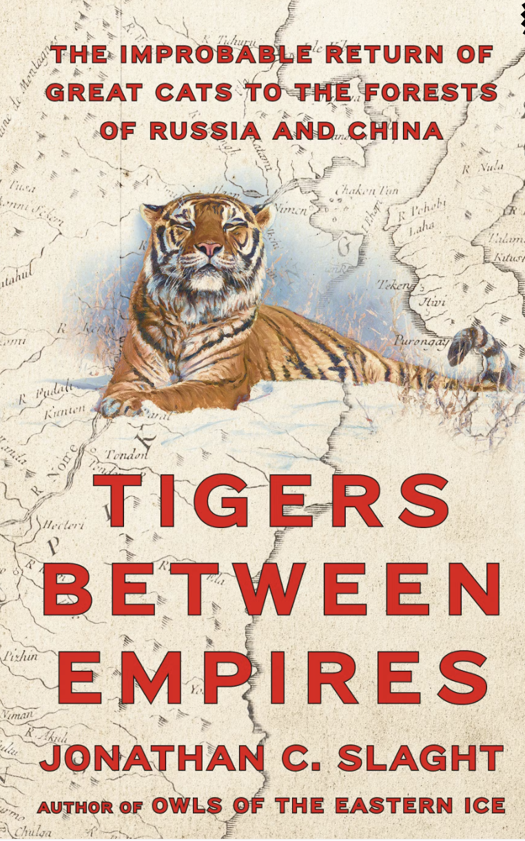 The Return of the Siberian Tiger: Jonathan Slaght, TIGERS BETWEEN ...